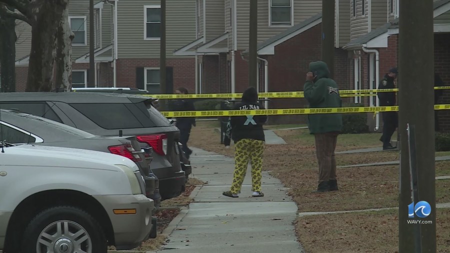 Chesapeake murder-suicide mother was prohibited from owning a gun