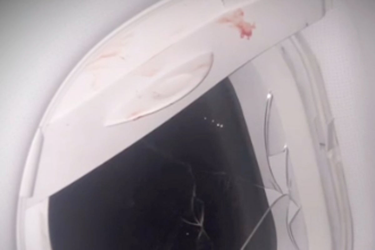 Frontier passenger overpowered after punching out plane window during a ...