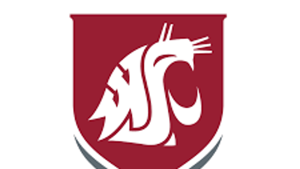 WSU appoints new president