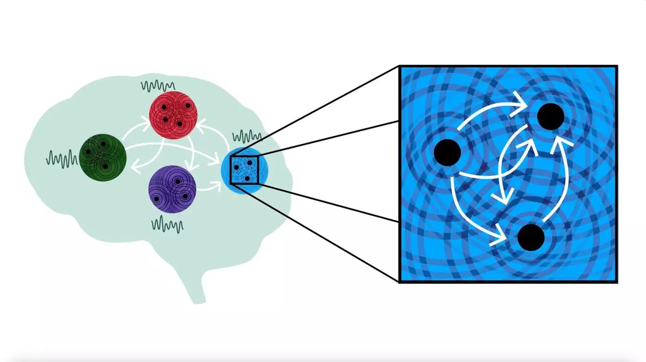 Neural waves study provides evidence that brain's rhythmic patterns ...