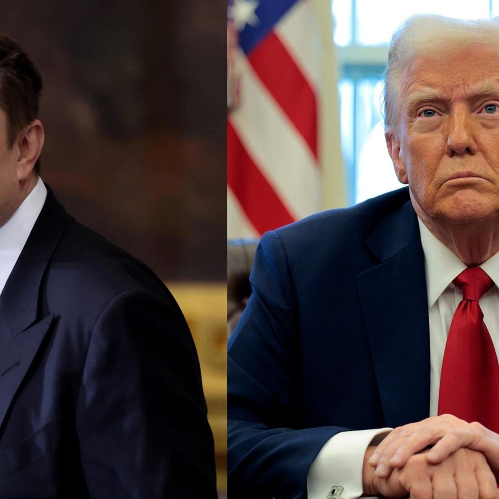 What is Elon Musk's role as a "special government employee"?