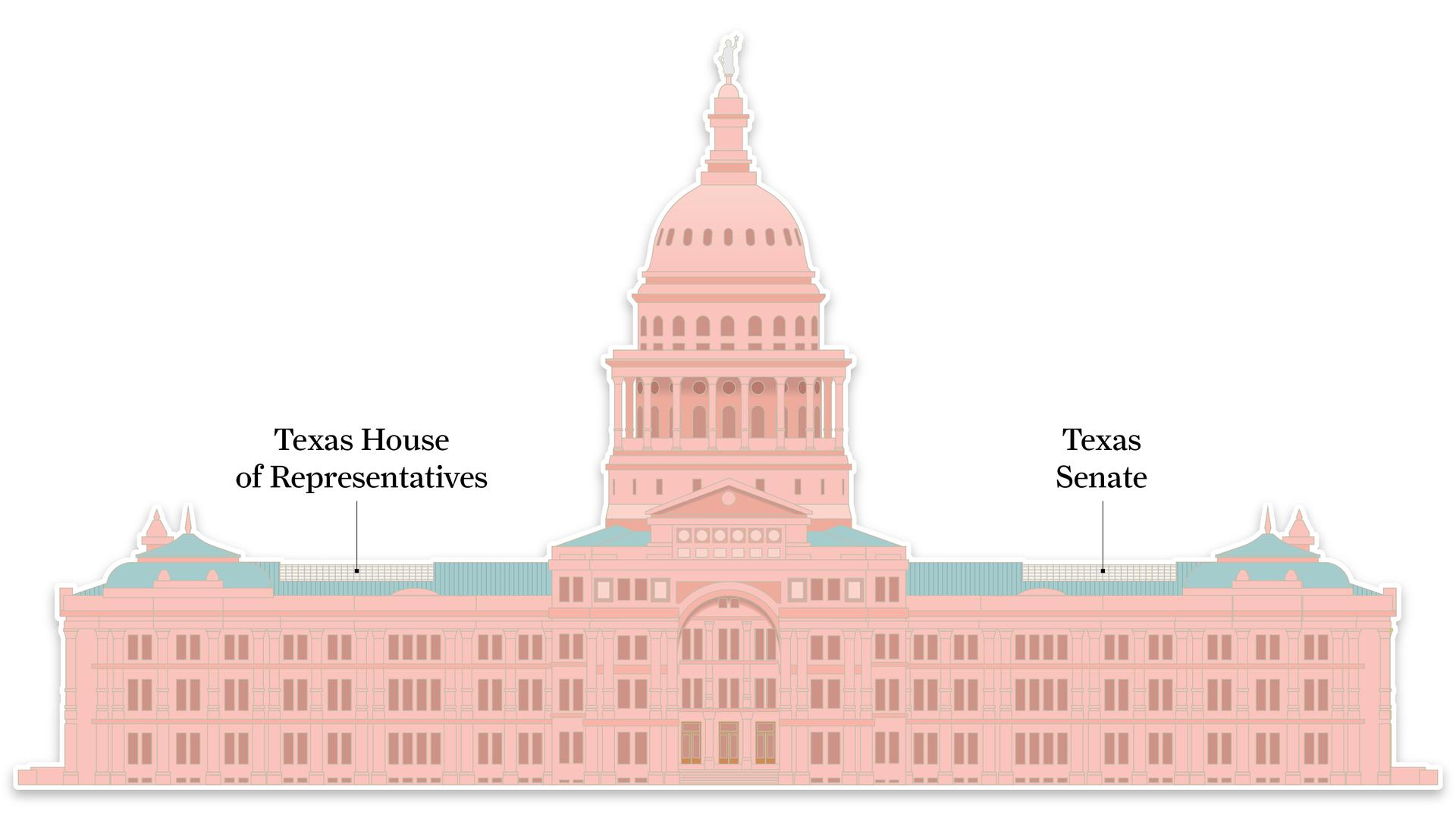 Who represents me in the Texas Legislature?