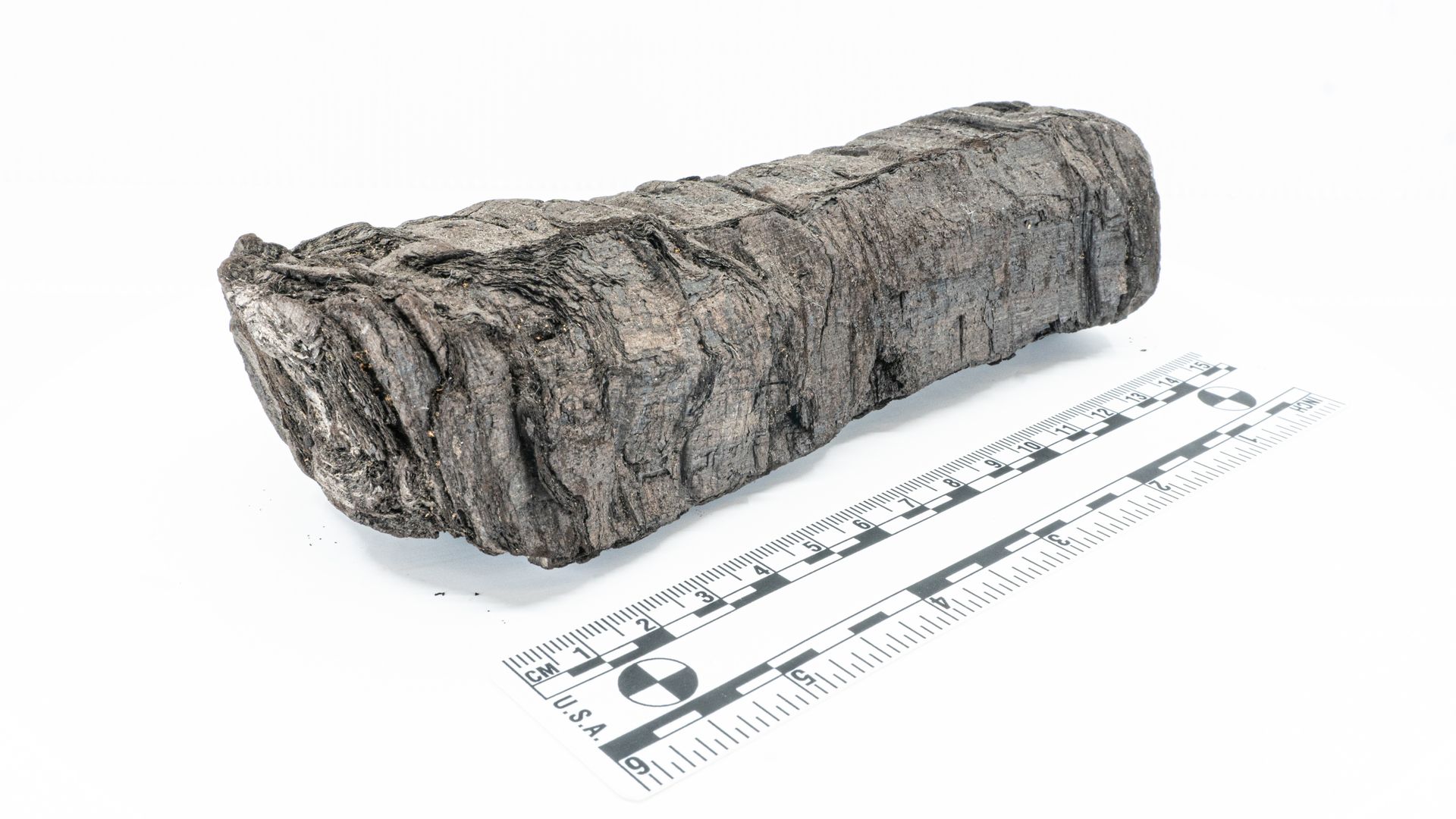 'Incredible moment in history:' Particle accelerator and AI offer first ...