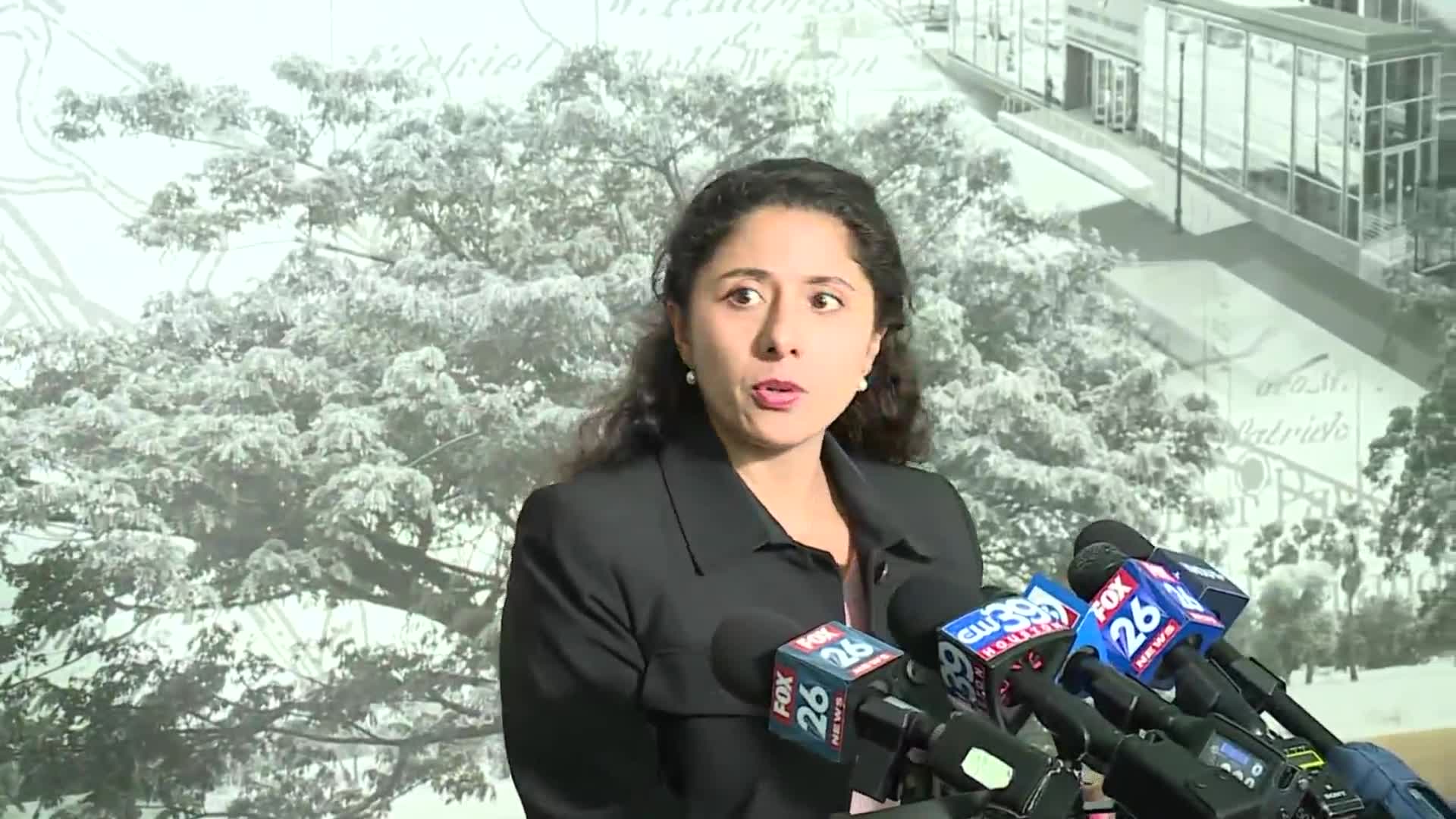 Judge Lina Hidalgo addresses dismissal of former staff member cases ...