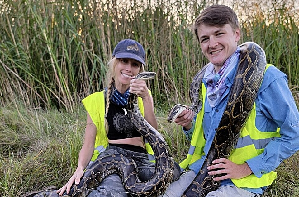 Cracking the Burmese python code: Data analysis reveals optimal ...