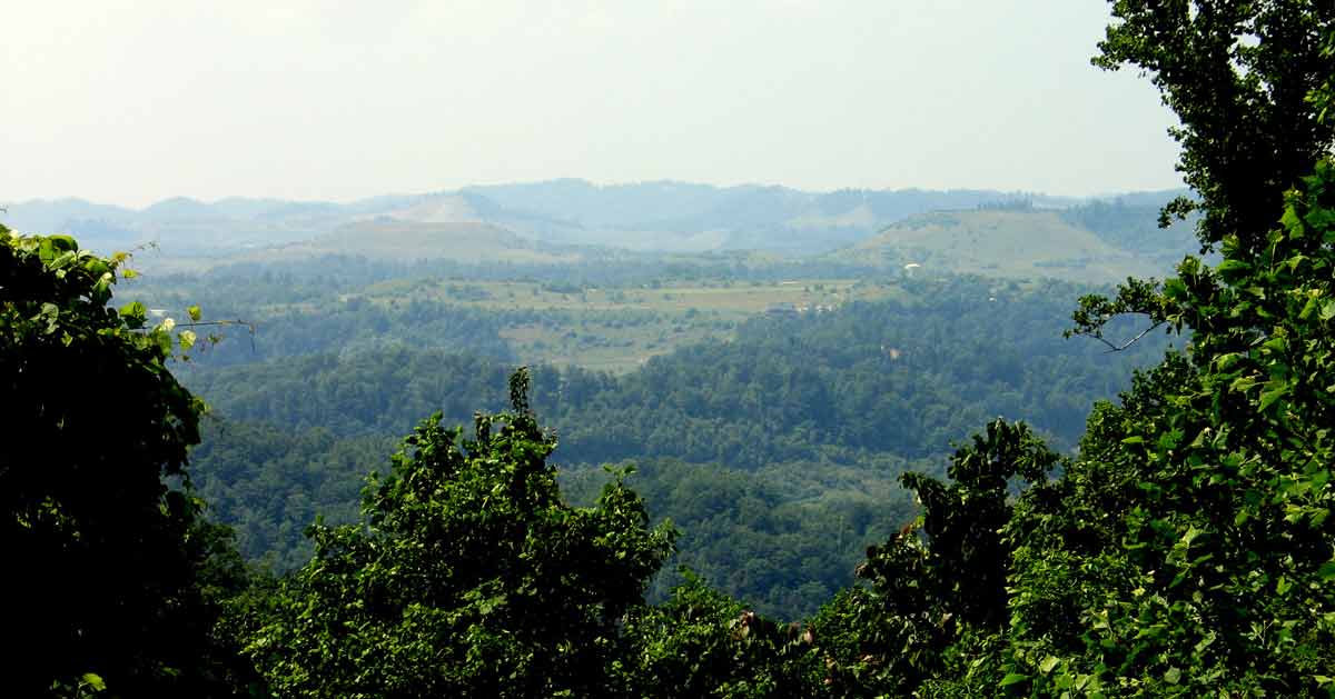 Activists buy a prison site to rewild the land: 'A sign of progress'