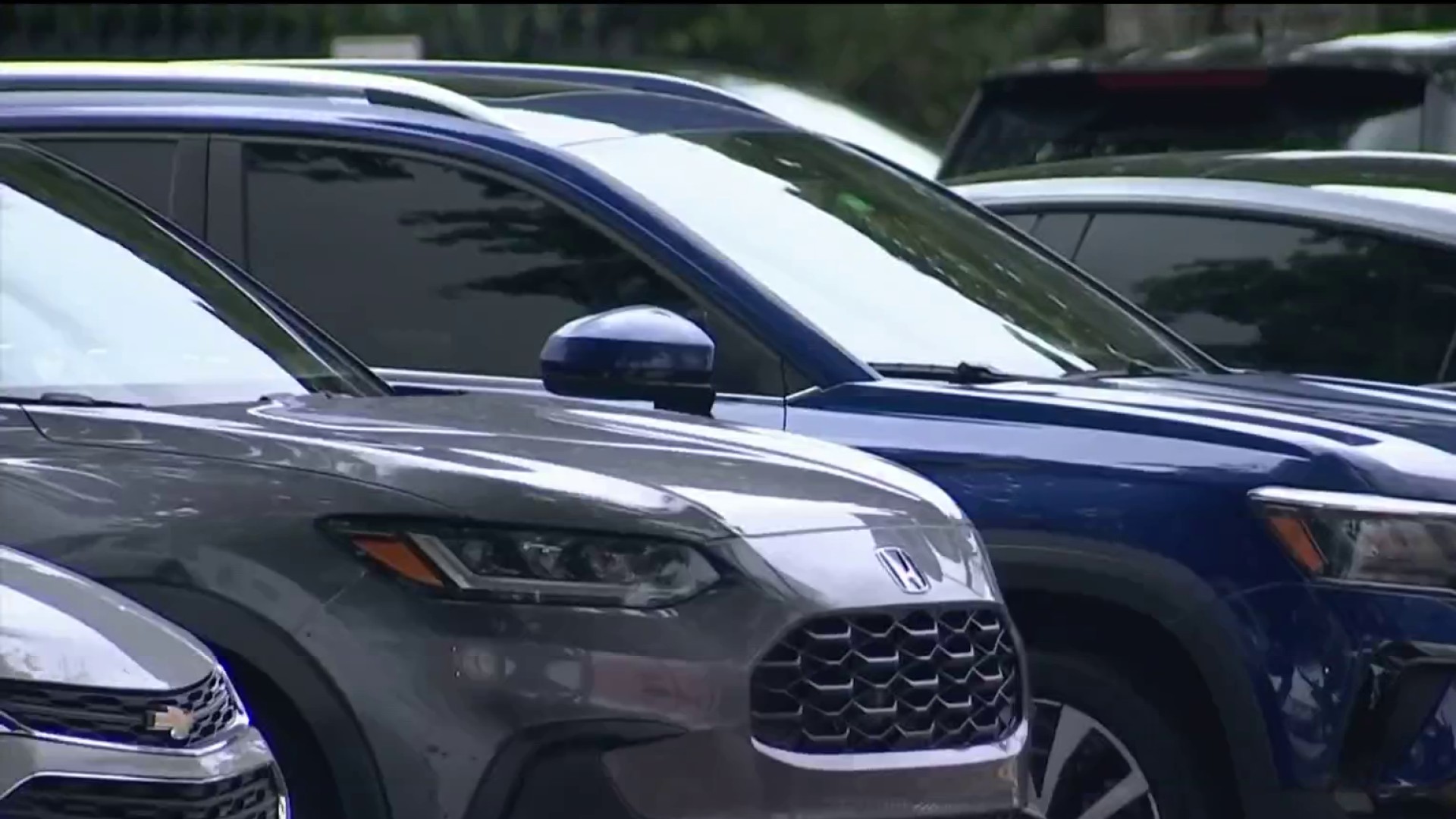 El alto costo del seguro de autos en Florida: ¿realmente habrá alivio ...