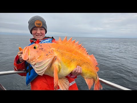1 Week Fishing, Camping, & Hiking Adventure ( I Flew a Family of 10 to ...