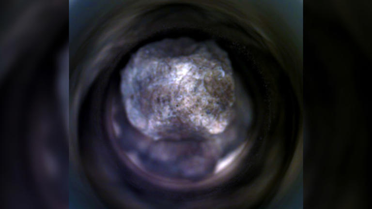 Perseverance Mars rover finds 'one-of-a-kind treasure' on Red Planet's ...