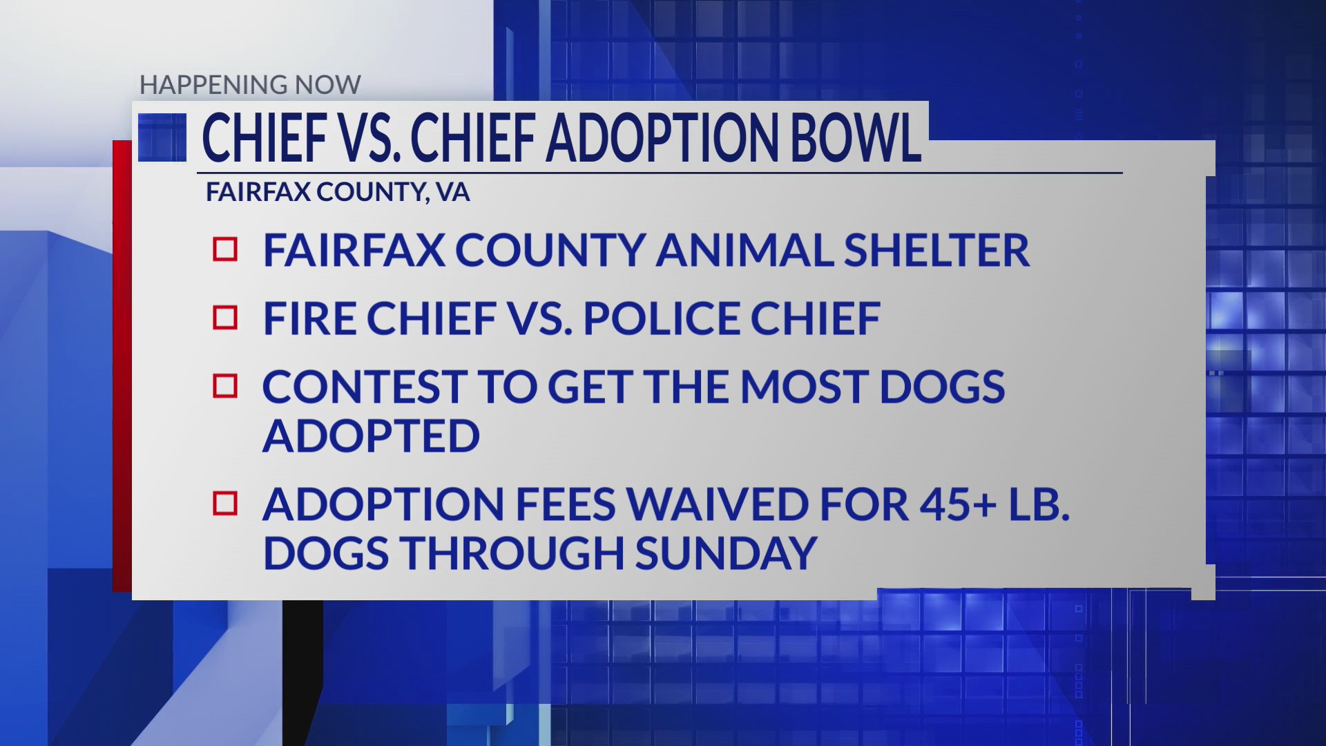 Fairfax County Animal Shelter waives adoption fees for big dogs during ...