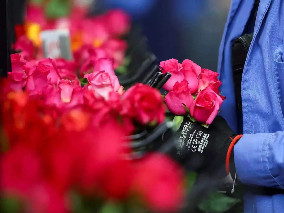 Valentine's Week 2025: Full list of 7 days leading to Valentine's Day ...