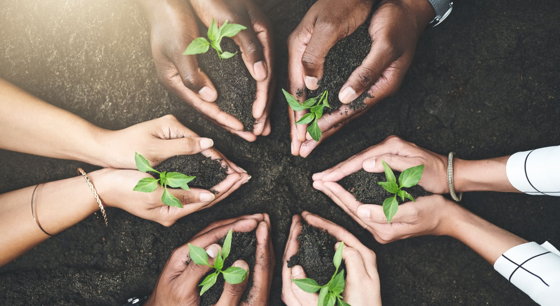 Understanding carbon capture and sequestration technology