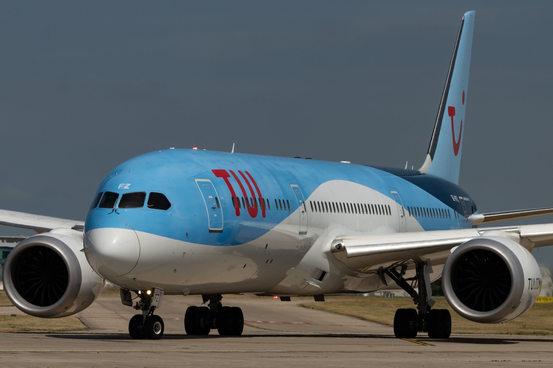 Plane makes emergency landing after smashing into swans at 185mph