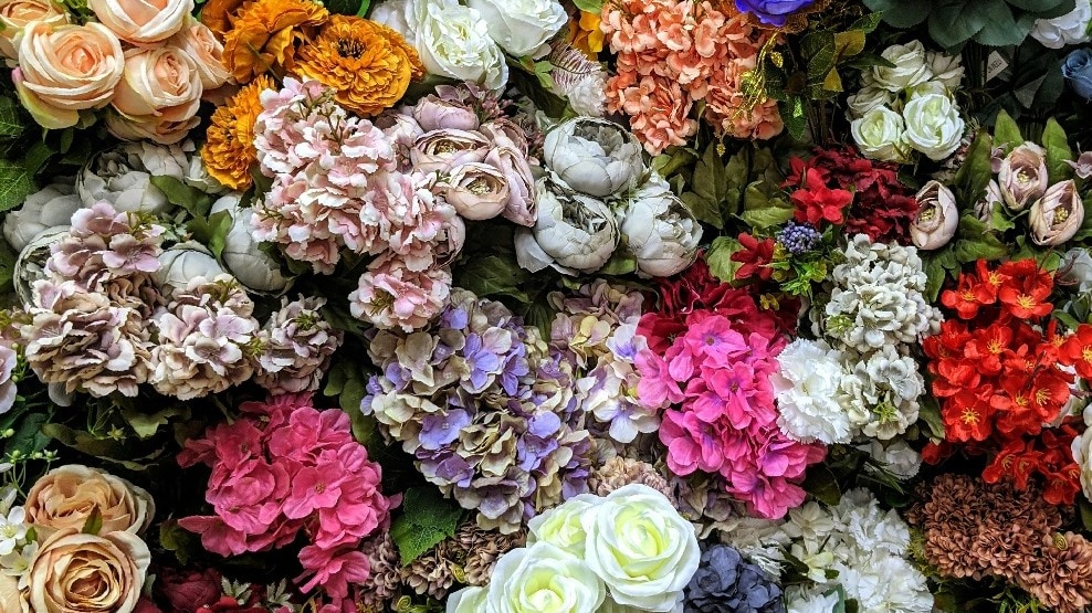 Rose day 2025: A guide to rose colours and their symbolic meanings