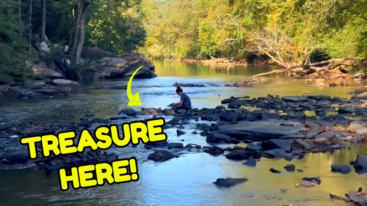 Valuable Hidden Artifacts found by Family of Treasure Hunters after ...