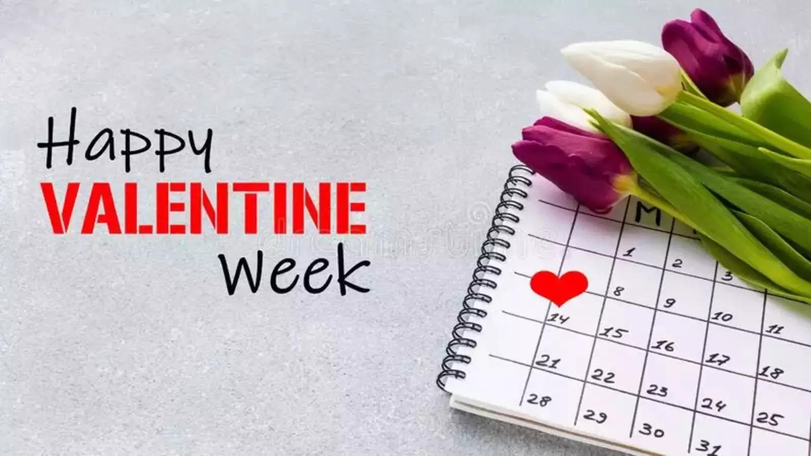 Valentine Week Days: Your ultimate 2025 guide to 7 days of love and romance