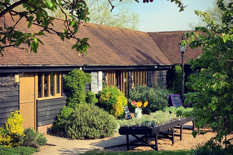 The gorgeous must-visit Kent farm shop named as one of the best in the ...