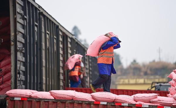 London's first Roman basilica is found after 2,000 years