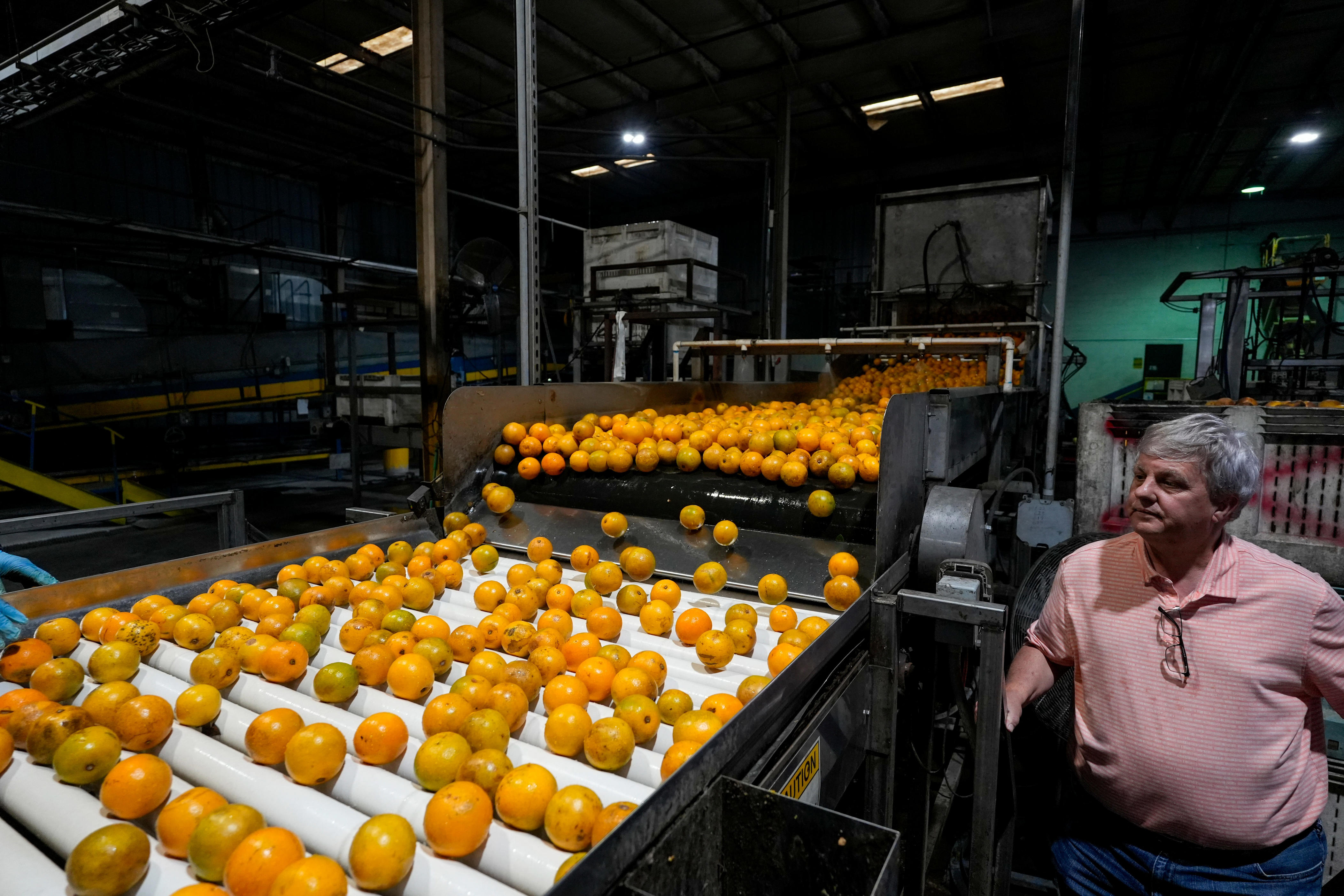 Citrus growers have mixed feelings about tariffs, retaliation by Canada