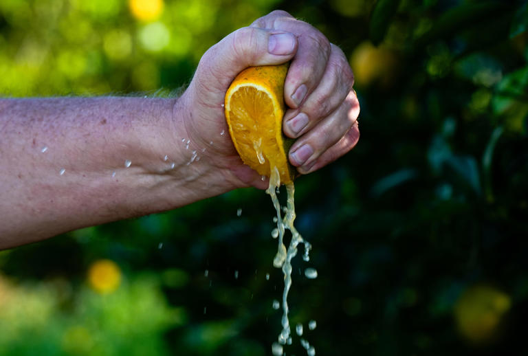 Citrus growers have mixed feelings about tariffs, retaliation by Canada