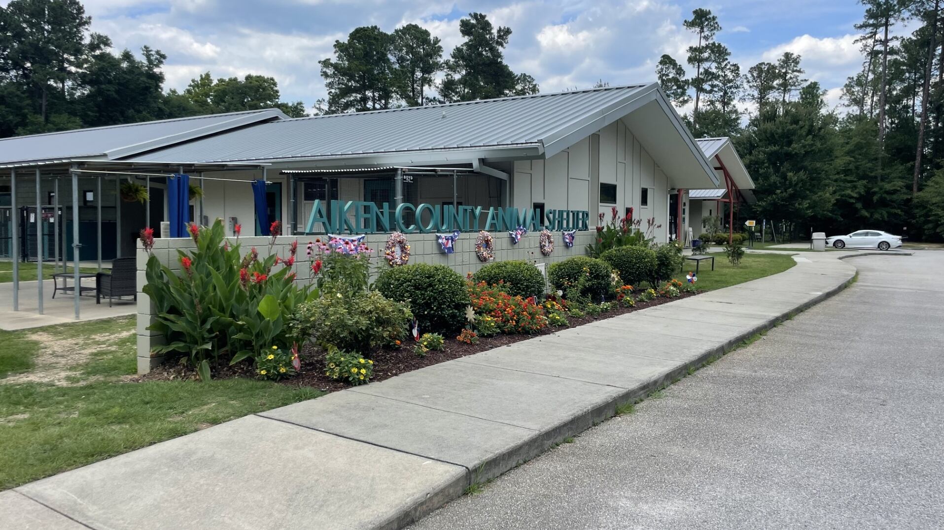 Find a furry friend at puppy speed dating event in Aiken