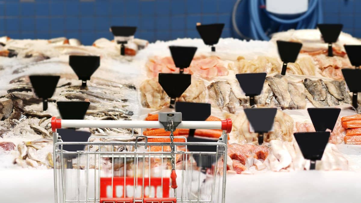 Vous voulez manger un bon poisson, il faut l’acheter dans ce ...