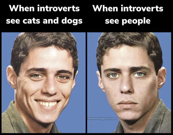 44 Funny Introvert Memes That Prove The Best Plans Are Canceled Plans ...