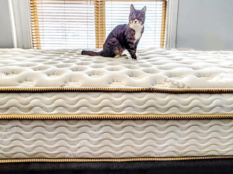 Saatva mattress review 2026: The brand's best beds, compared