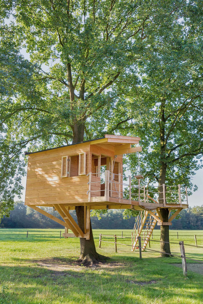 How to Build a Treehouse: Our Complete Guide to Crafting the Ideal ...