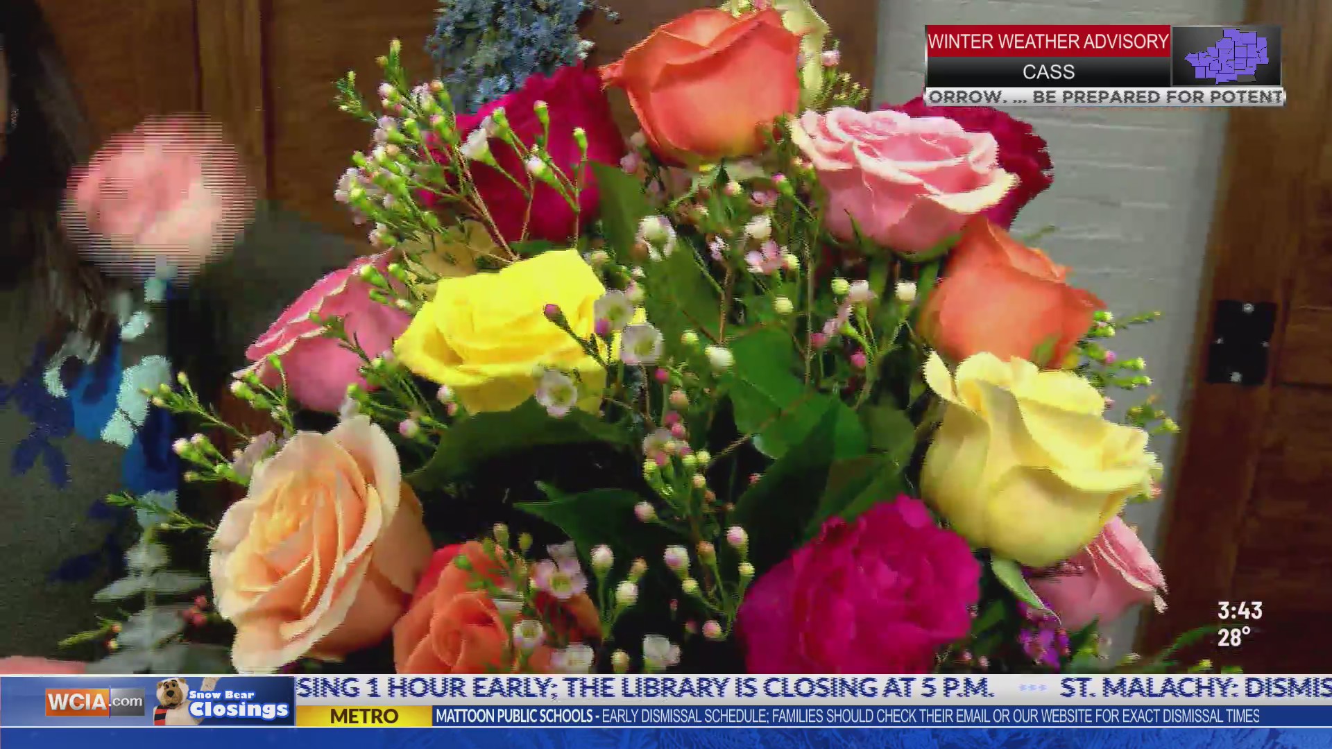 What do Different Color Roses Mean?