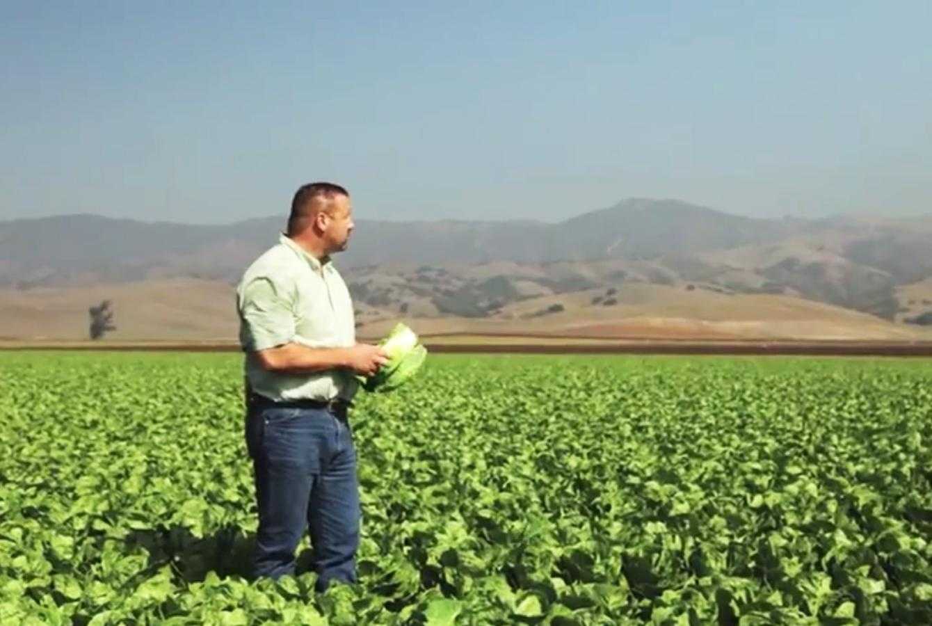 Federal grant freeze leaves farmers in limbo