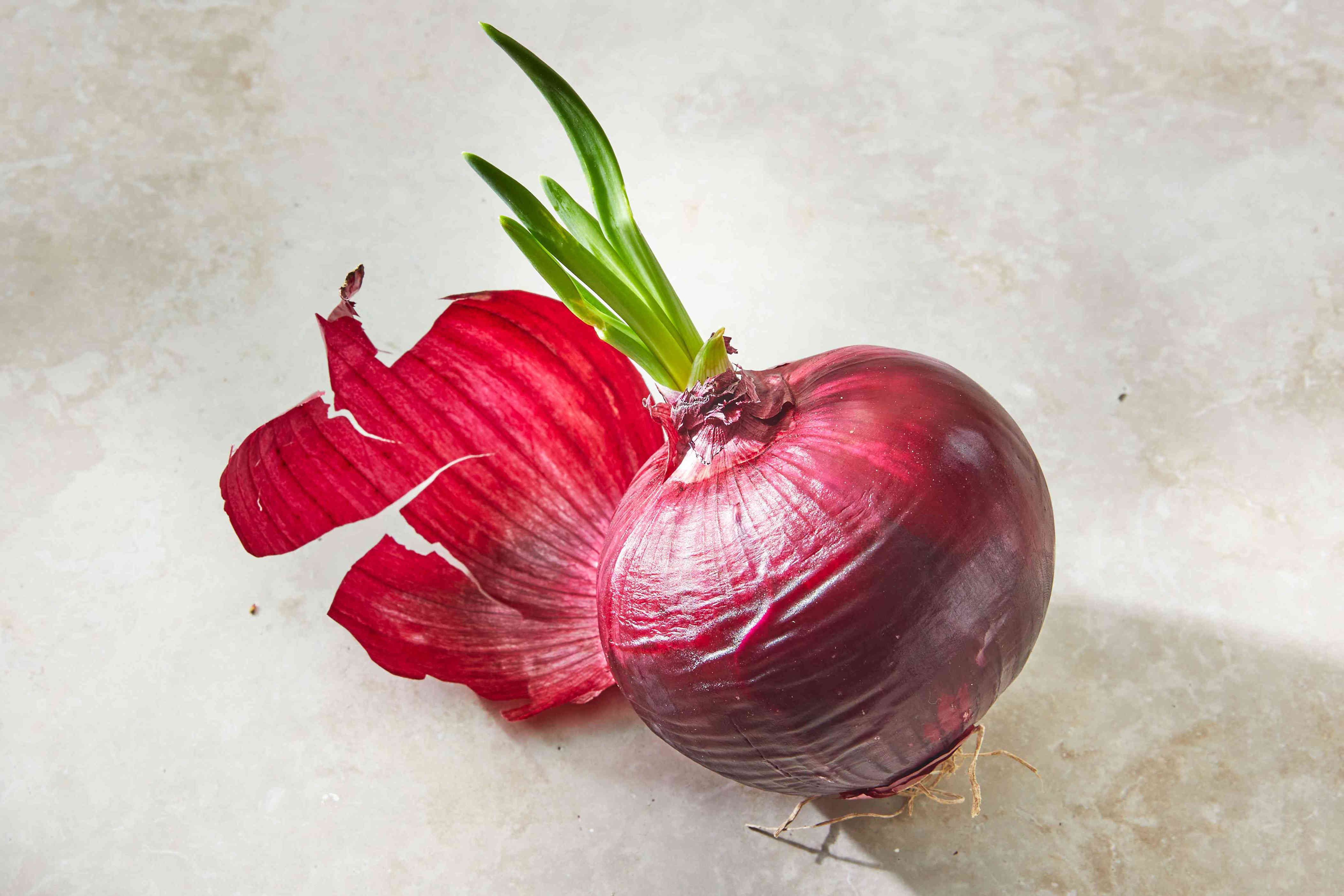 Can you eat sprouted onions?