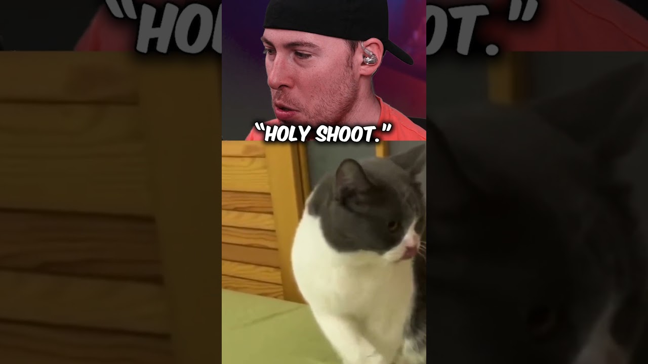 Top 10 Funniest Reaction Videos You Can't Miss