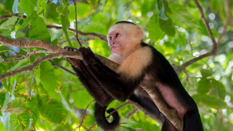 Five must see spots in Costa Rica