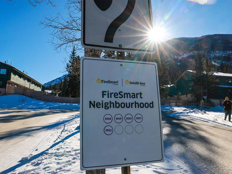 Tackling wildfires before they arrive: Mitigation efforts underway in Banff, Lake Louise