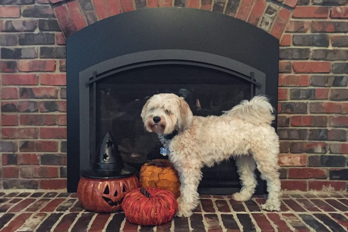 12 Cool Ideas To Repurpose An Old Fireplace