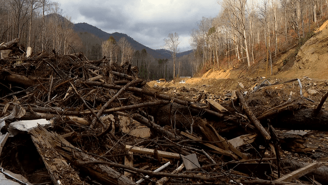 Remembering Julie le Roux, a vibrant artist tragically killed by ...