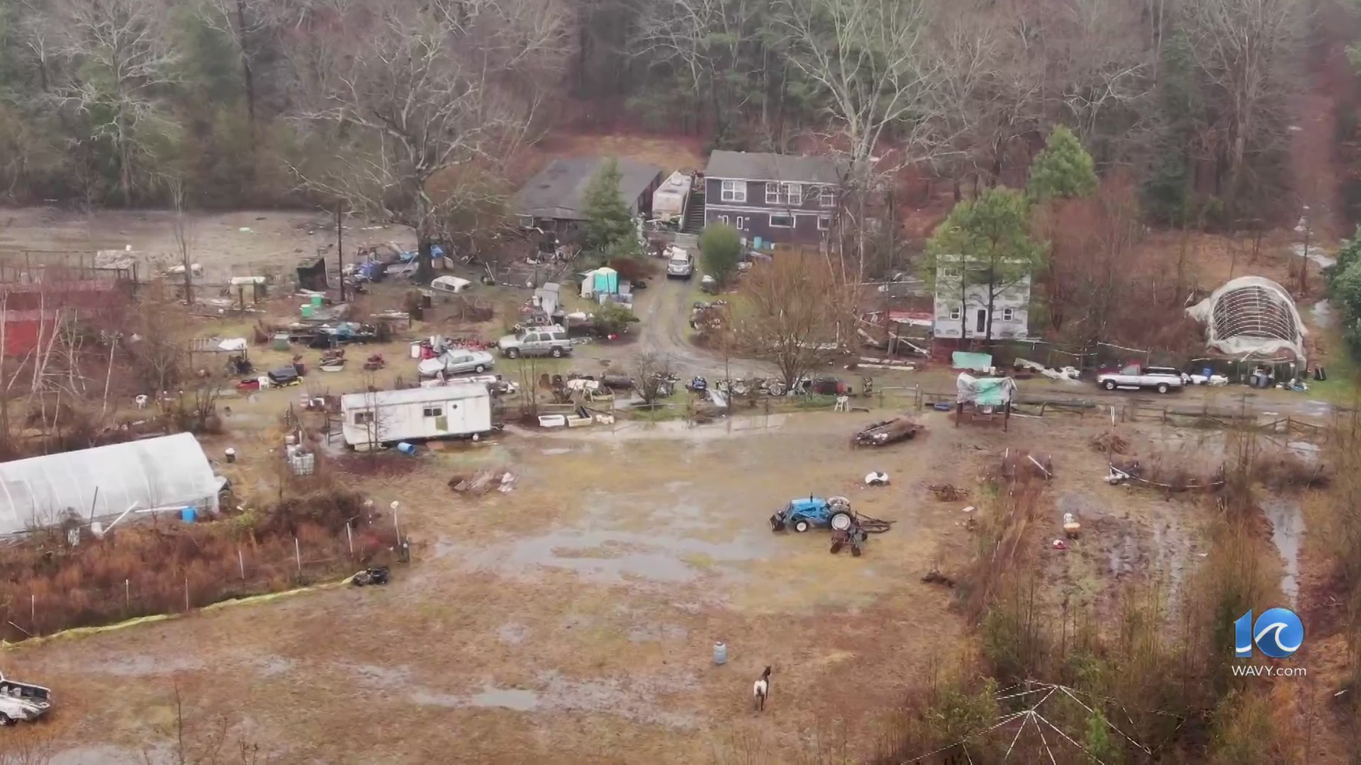 Suffolk woman faces series of animal abuse charges