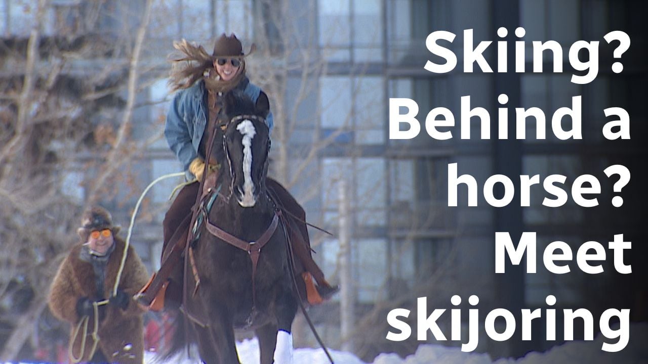 Skijoring gallops into downtown Calgary