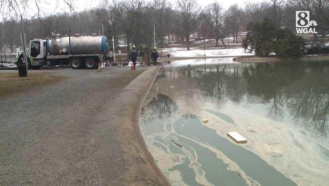 Cleanup underway in lake after unknown substance dumped Cleanup underway in lake after unknown substance dumped