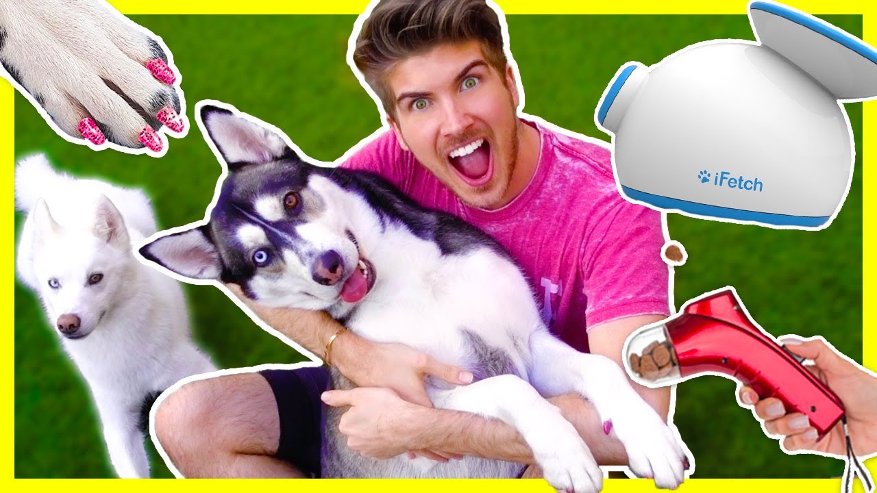 Unboxing and Testing the Strangest Puppy Gadgets
