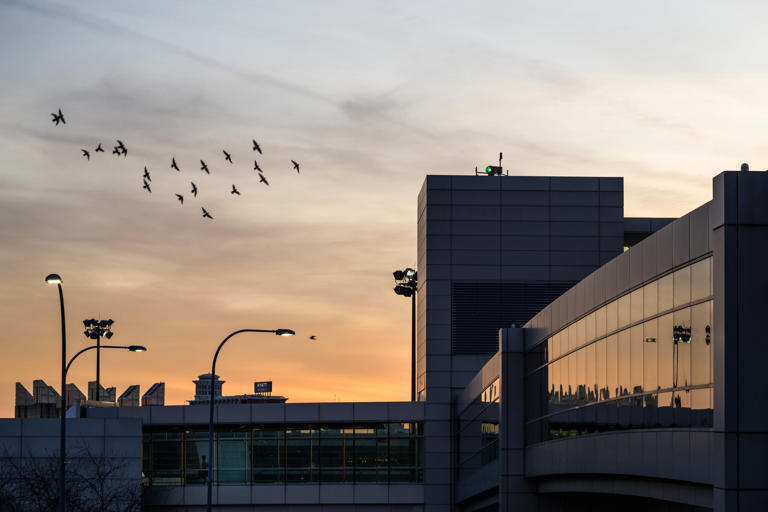 Massport wants big hike in rideshare fees for Logan pickups and drop-offs