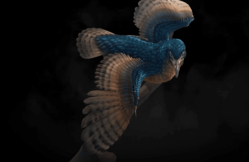 150-million-year-old fossil shows early bird diversification in the ...