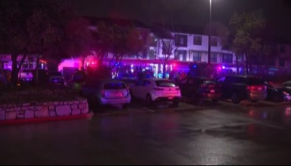 Insight: Texas Advocacy Project addresses deadly domestic violence ...