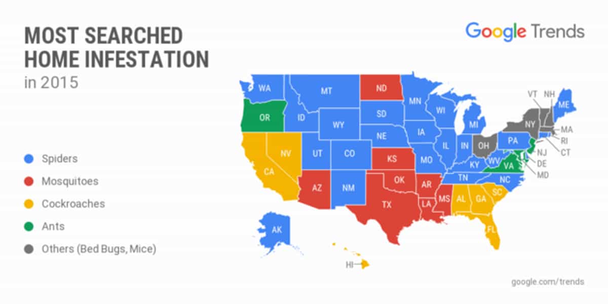 25 Maps Based On Google Data That Reveal A Lot About Your Home State