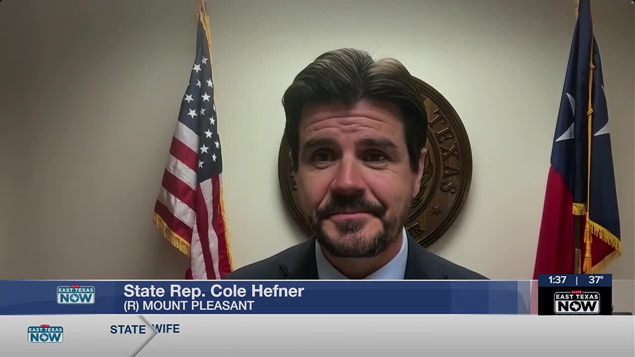 East Texas Rep. Hefner named chair of homeland security; Dean to chair ...