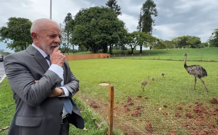 Lula diz que agora come ovo de ema e que quer experimentar ovos de ...