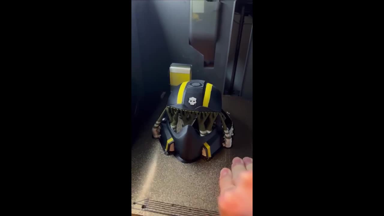 Exclusive- Bimbus the cat goes viral with 'Helldivers' helmet on TikTok