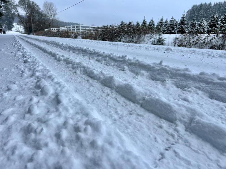 Oregon winter storm: Closures, freezing rain forecast for Salem