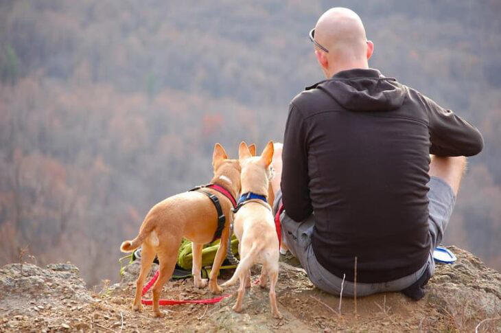 Outdoor Gear for Dogs: How to Keep Your Pet Safe & Comfortable Outside